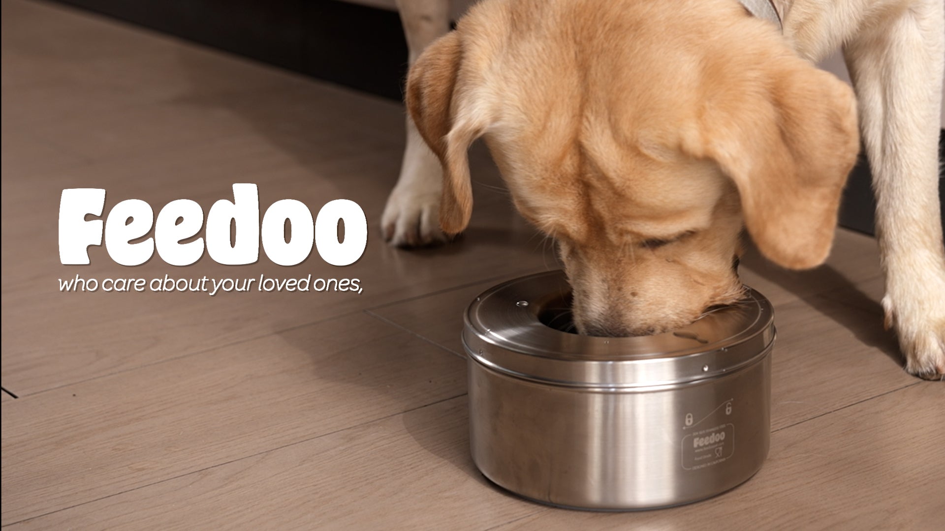 Who Care About Your Loved Ones, – feedoo